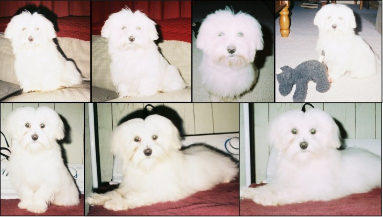 March | 2011 | Fun and Dysfunction | Page 2