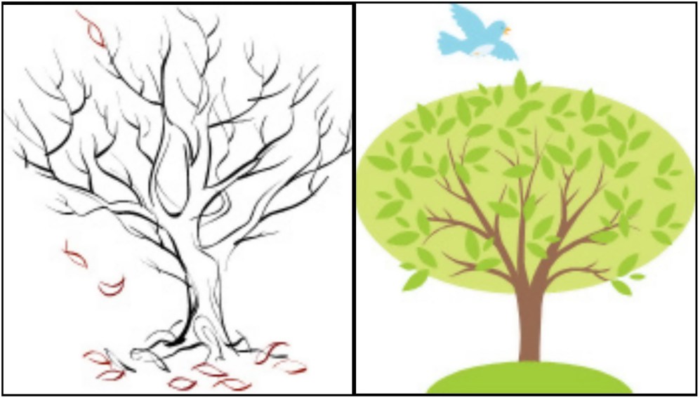 March | 2011 | Fun and Dysfunction | Page 2