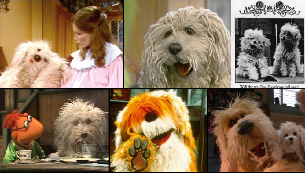 March | 2011 | Fun and Dysfunction | Page 2