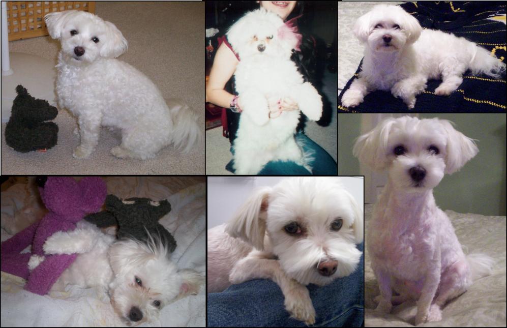 March | 2011 | Fun and Dysfunction | Page 2