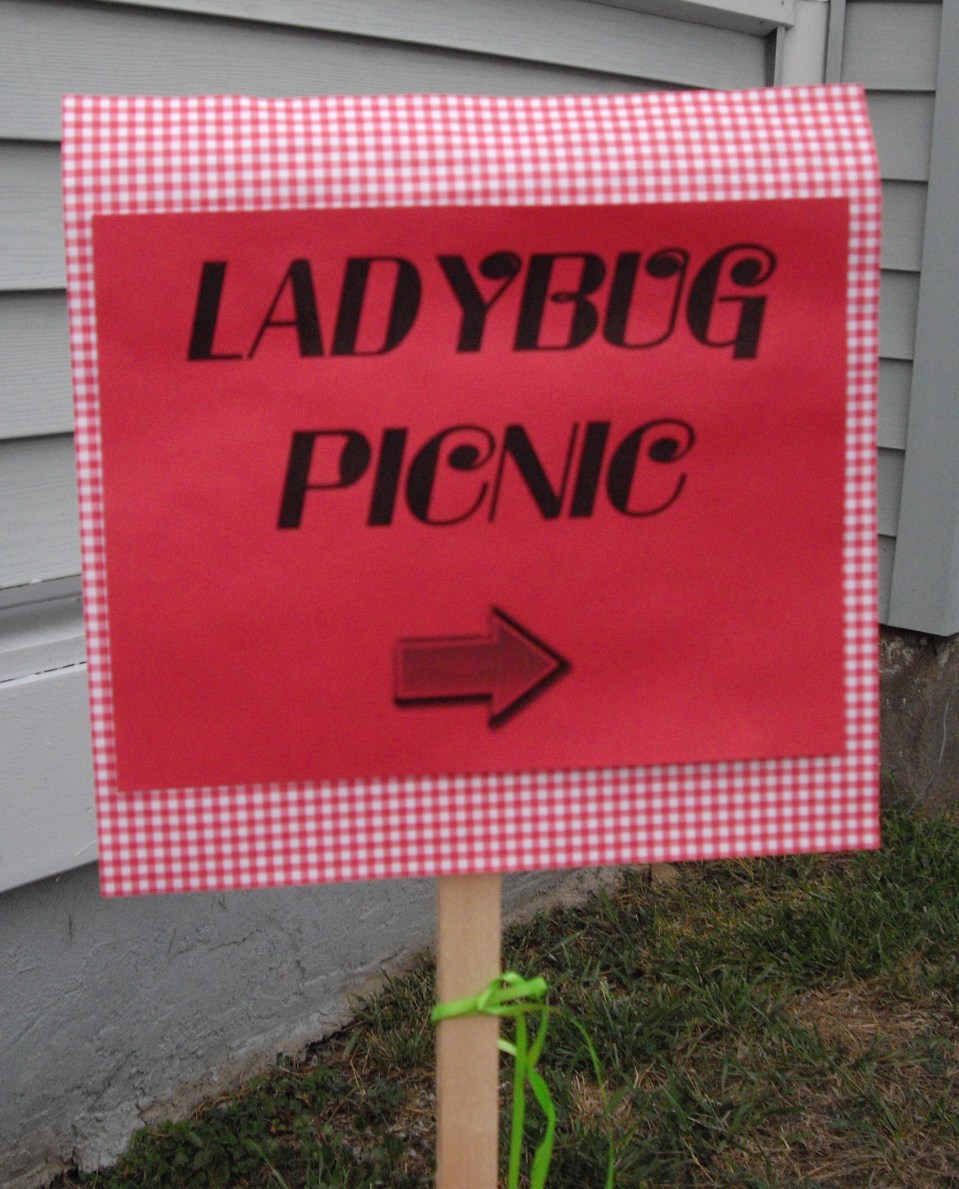 Adaline’s 2nd Birthday Party: Ladybug Picnic | Fun and Dysfunction