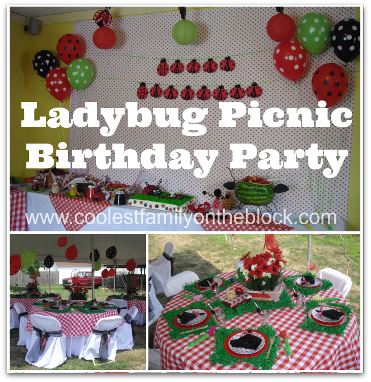 Adaline’s 2nd Birthday Party: Ladybug Picnic | Fun and Dysfunction