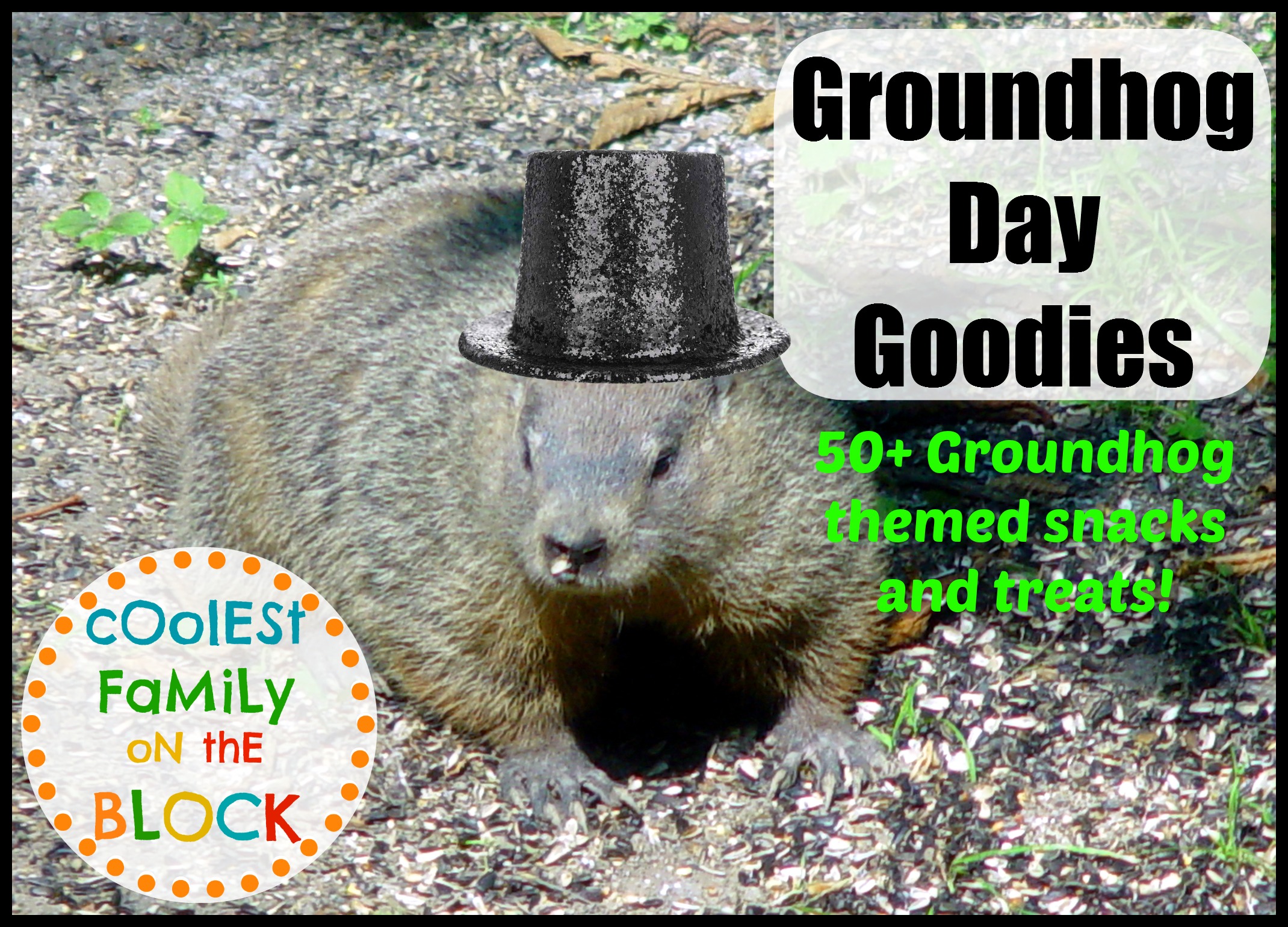Groundhog Day Goodies (Links) | Fun and Dysfunction
