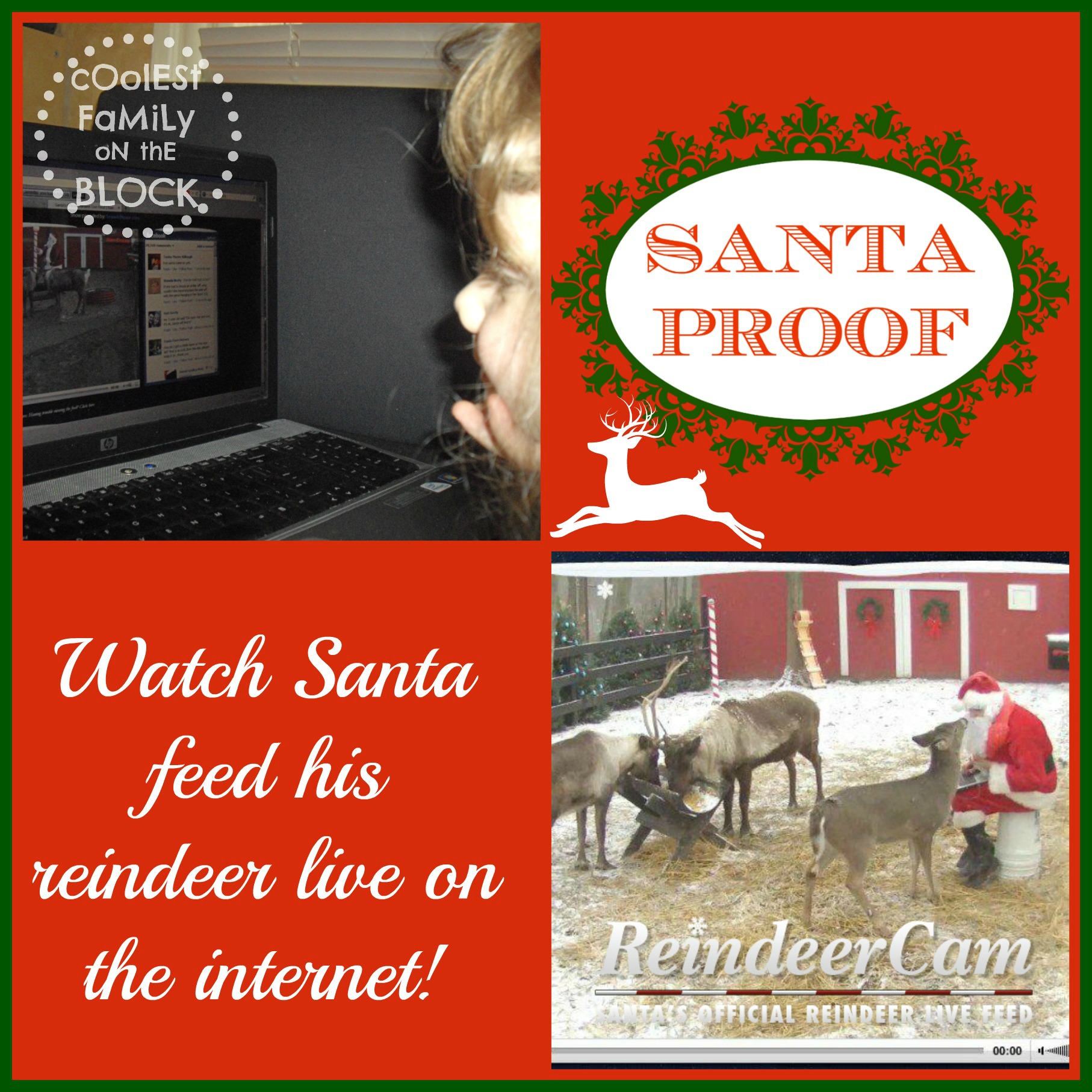 Santa Proof: Watch Santa feed his reindeer LIVE! (Free) | Fun and ...